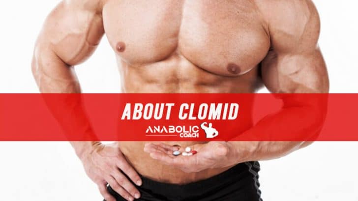 Clomid | Anti Estrogen Steroids | Anabolic Coach