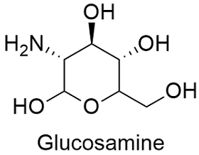 Glucosamine For Joint Health and Repair - Anabolic Coach