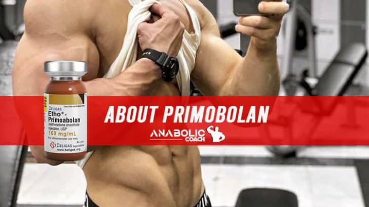 A Complete Users Guide to Oral and Injectable Primobolan (Methenolone)