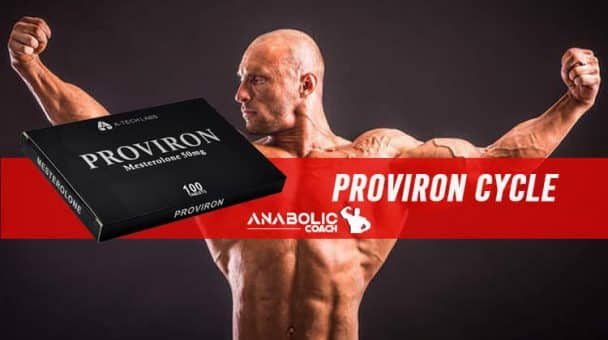 Proviron | O Anti-Estrogênio Essencial | Treinador Anabólico