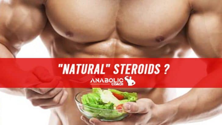 An Overview of Natural Steroids | Anabolic Steroids
