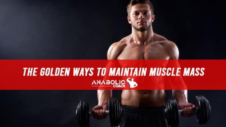 The Golden Ways to Maintain Muscle Mass - Anabolic Coach