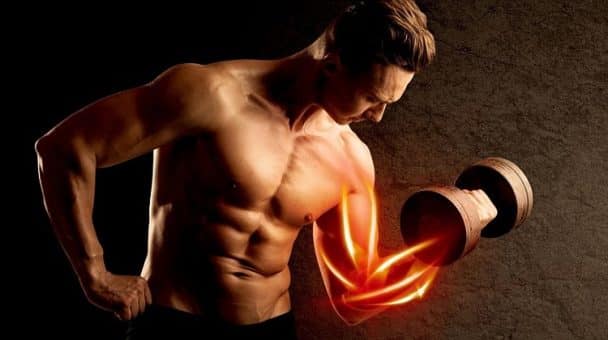 How Much Skeletal Muscle Mass Can You Gain in 30 Days? - Anabolic Coach