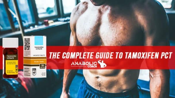 The Comprehensive Guide on Tamoxifen Citrate PCT - Anabolic Coach