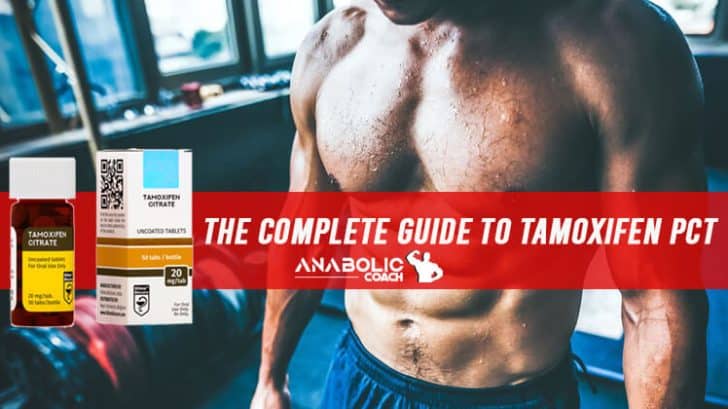 The Comprehensive Guide on Tamoxifen Citrate PCT - Anabolic Coach