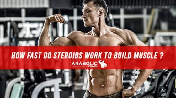 How Fast Do Steroids Work to Build Muscle? - Anabolic Coach