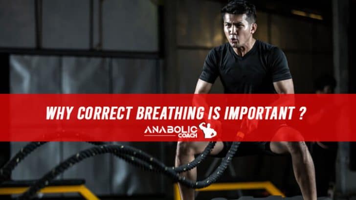 Why Correct Breathing Is As Important As Nutrition - Anabolic Coach