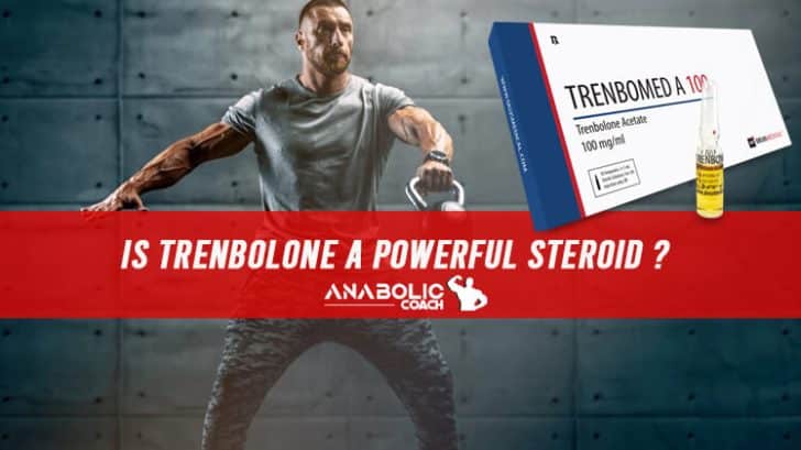 Ist Trenbolon ein starkes Steroid? - Anabolika-Trainer