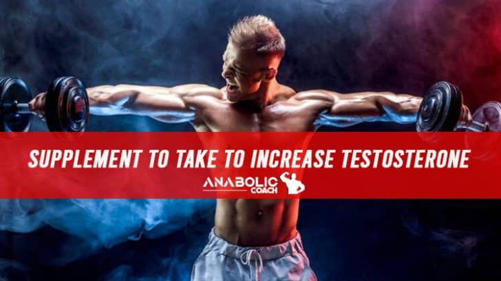 What is the best supplement to take to increase testosterone ...