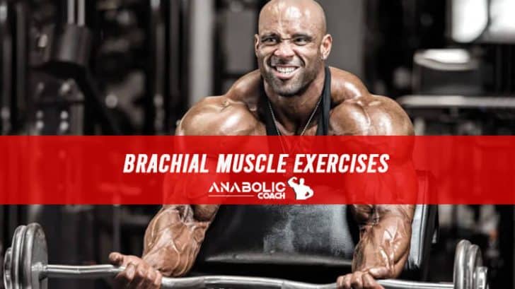What can we expect from Brachialis muscle exercises? - Anabolic Coach
