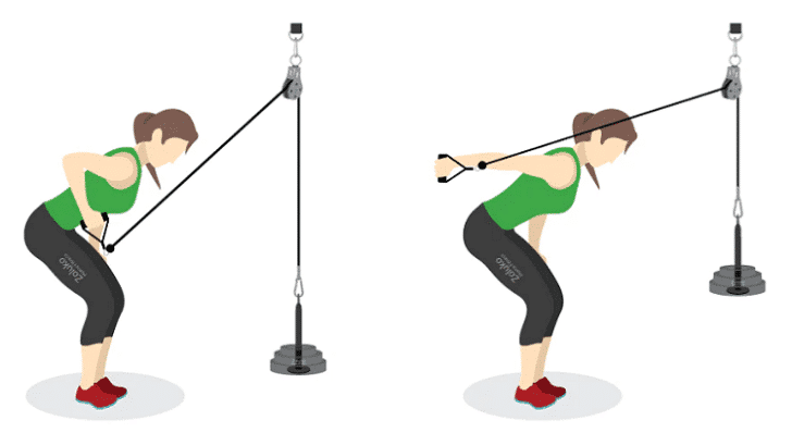 Women Arm Workouts For Increased Muscle Size, Shape and Strength ...