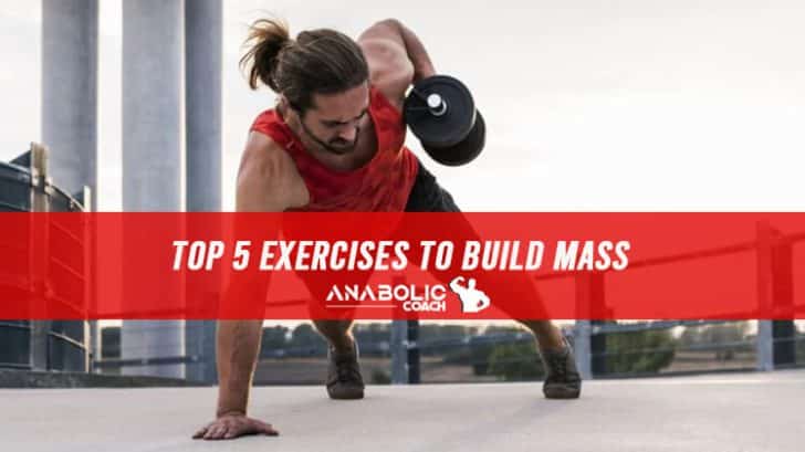 Ultimate Calf Training: Top 5 Exercises to Build Mass - Anabolic Coach