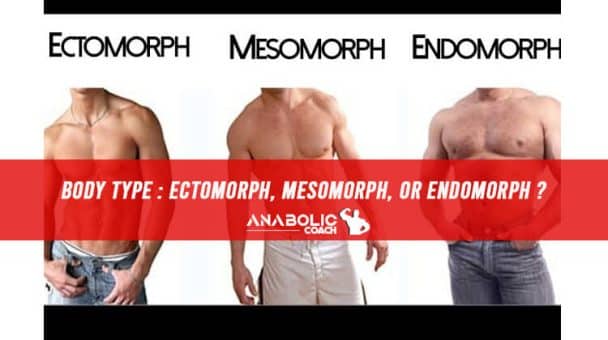 Quel est votre type de corps ? Ectomorphe, mésomorphe ou endomorphe ...